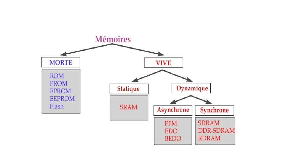 LA MMOIRE VIVE MMOIRE VIVE VS MMOIRE MORTE