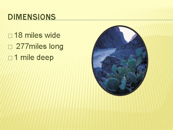 By Grace GRAND CANYON SOME COMMUNITIES OF LIFE