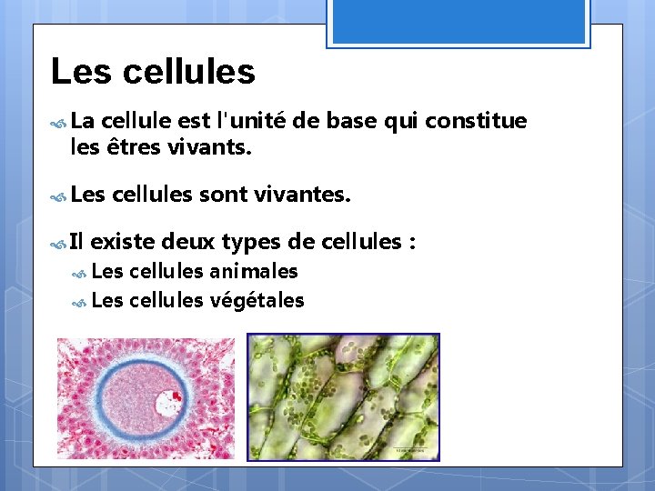 La cellule Lunit de base de la vie