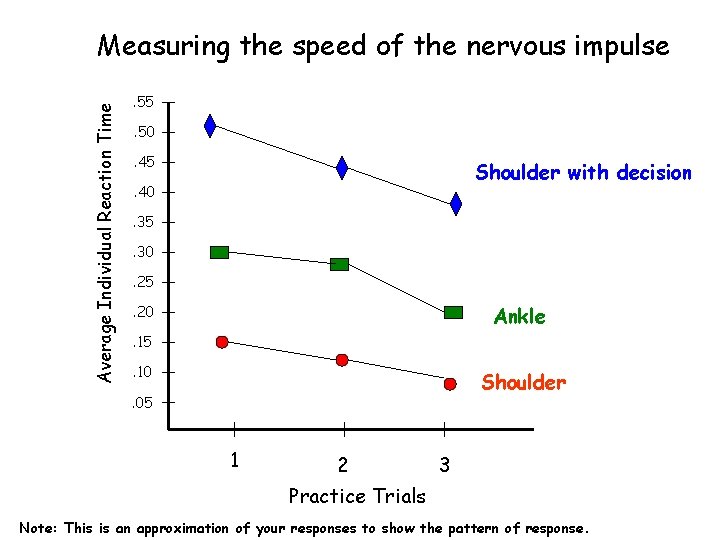 Brain and Behaviour Second Hour How do neurons