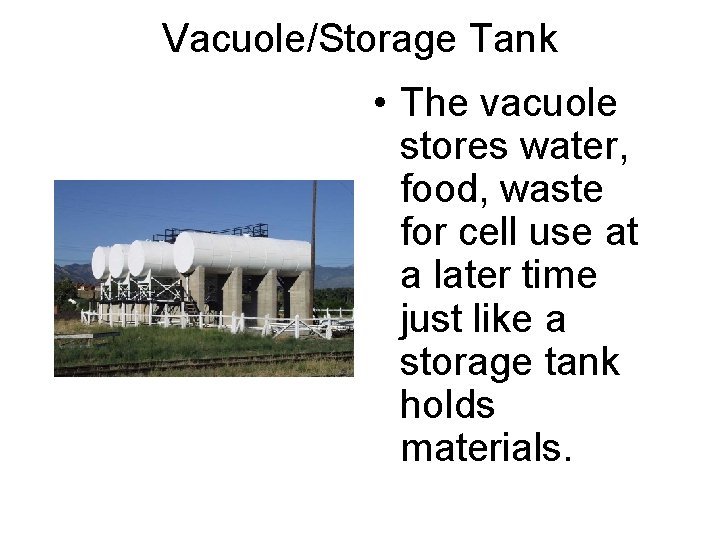 Cell Parts and Their Functions Using analogies to