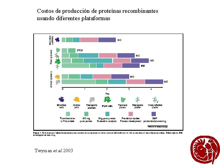 MOLECULAR FARMING The largescale production of recombinant proteins