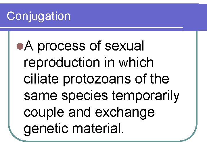 Unicellular Organisms Objective 1 2 Identify unicellular organisms