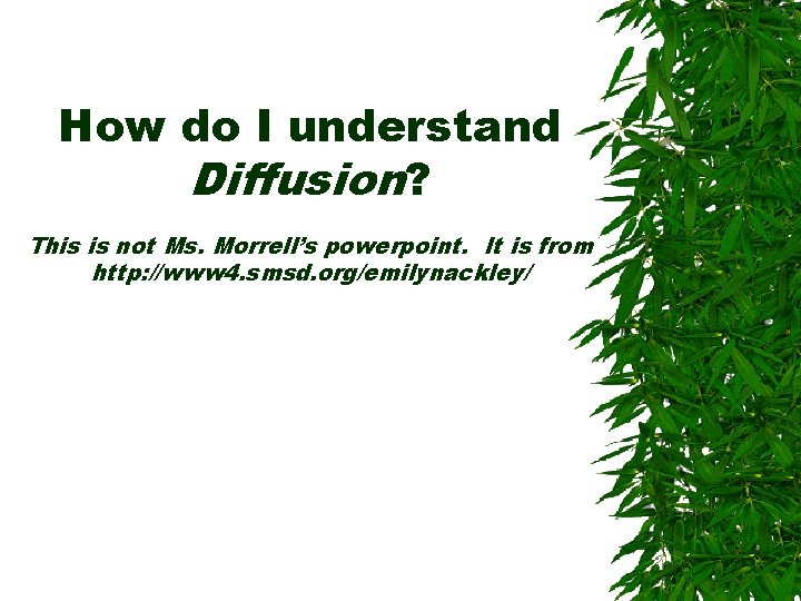 How do I understand Diffusion This is not