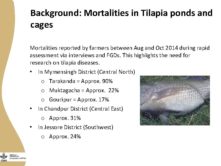 Aquatic Animal Health Flagship in LF Bangladesh Partho