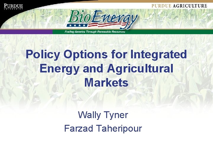 Policy Options for Integrated Energy and Agricultural Markets