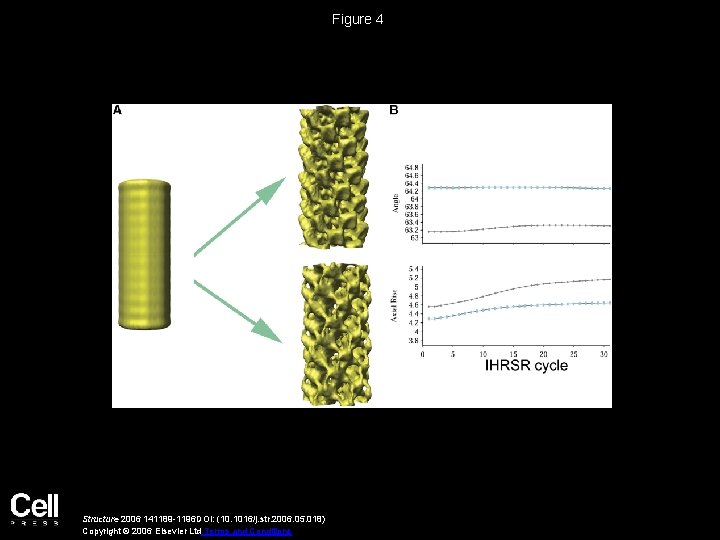 Structural Polymorphism in Bacterial Esp A Filaments Revealed
