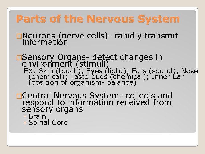 Systems Part 4 Sensory Organs The Nervous System