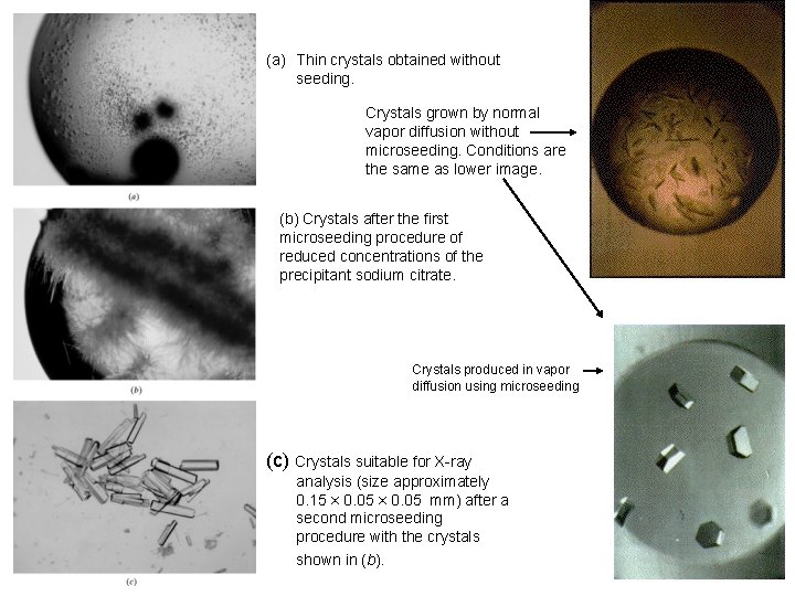 Xray diffraction Xrays discovered in 1895 1 week