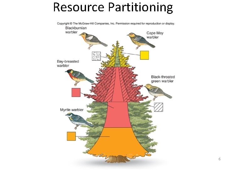 What are Ecosystems Interacting biotic and abiotic components