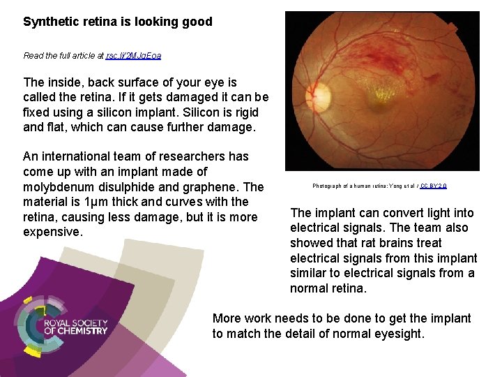Synthetic retina is looking good Read the full