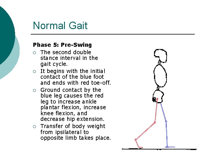 Gait Analysis PHED 3806 Gait Analysis Learning Points