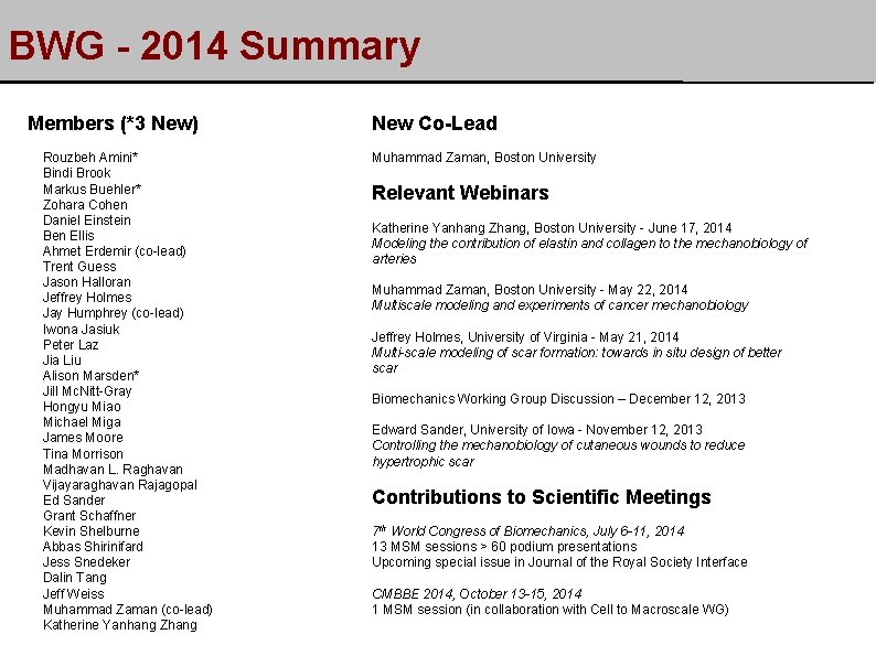 BWG 2014 Summary Members 3 New Rouzbeh Amini