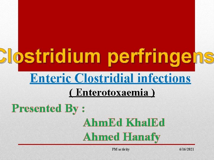Clostridium perfringens Enteric Clostridial infections Enterotoxaemia ...