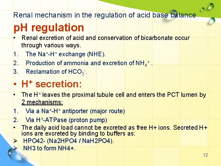 Urogenital module Biochemical aspects of kidney function Acidbase