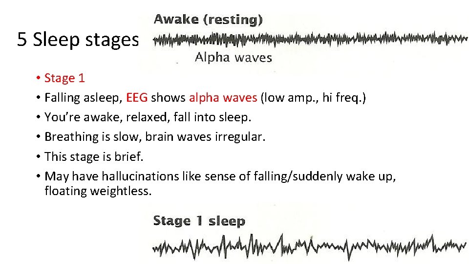 States of Consciousness Unit 5 Background Consciousness started