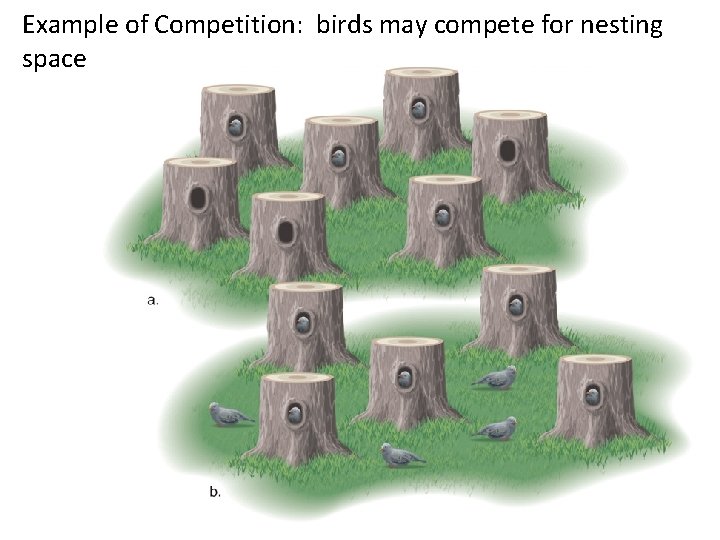 2 7 Biotic and Abiotic Influences on Ecosystems