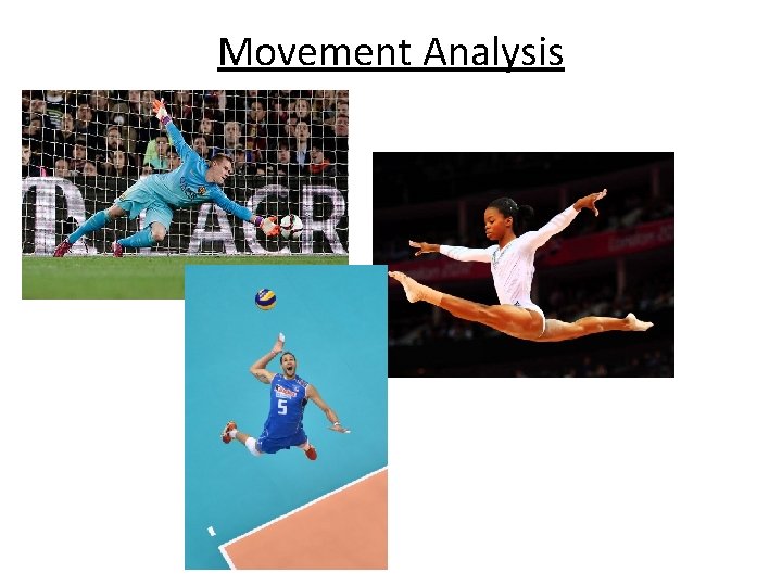 Joints movements and muscles Learning Objectives To know
