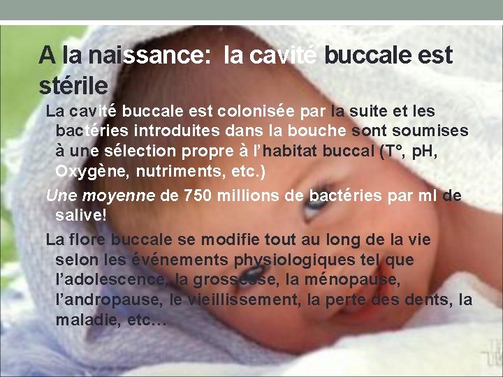 COMMUNAUT BIOTIQUE VIVANTE DE LCOSYSTME BUCCAL La classification