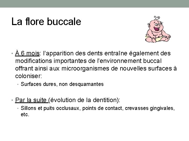 COMMUNAUT BIOTIQUE VIVANTE DE LCOSYSTME BUCCAL La classification