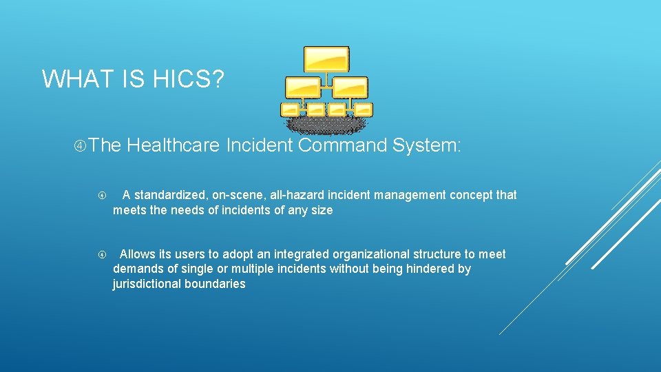 GENERAL OVERVIEW OF ICS Focus on LTC Presented