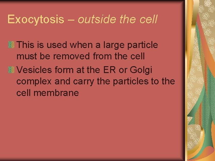 Ch 5 Section 1 Exchange with the Environment