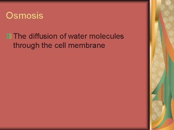 Ch 5 Section 1 Exchange with the Environment