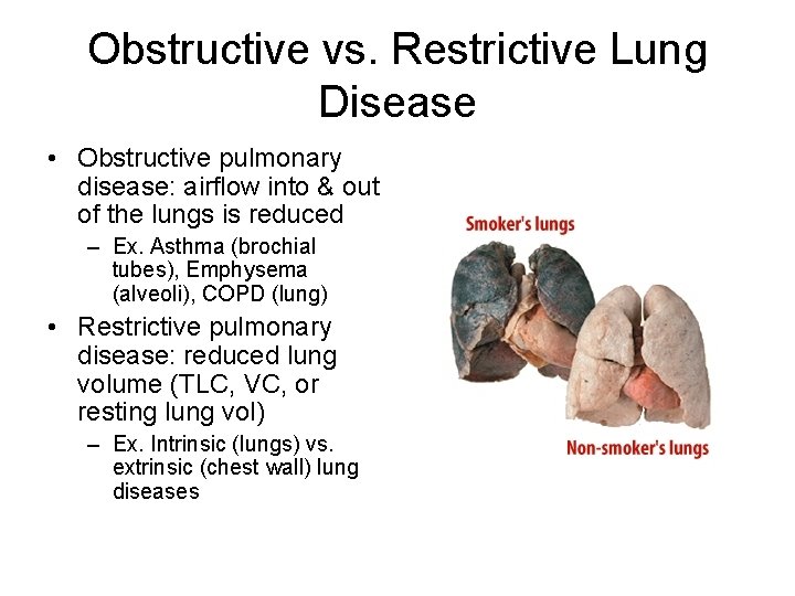 Respiratory Physiology Respiratory System Supply the body with