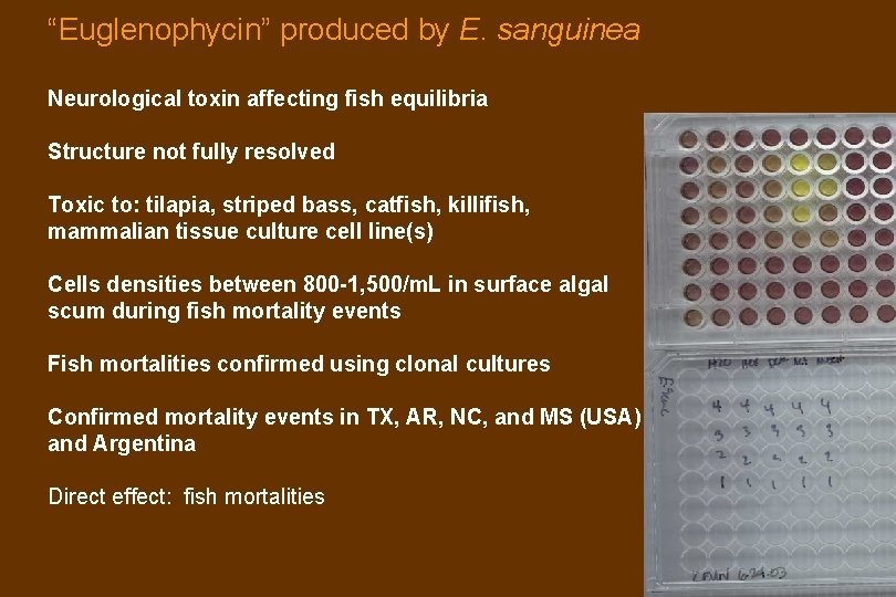 A Brief Overview of Freshwater Harmful Algal Blooms