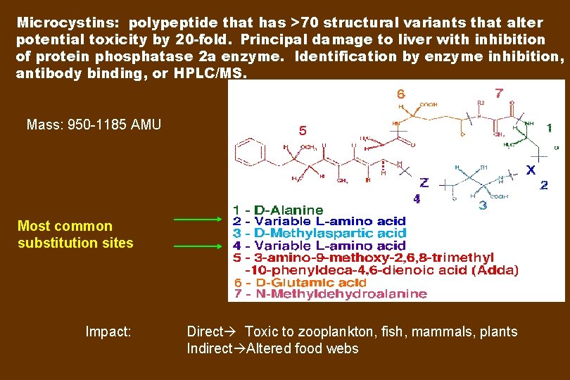 A Brief Overview of Freshwater Harmful Algal Blooms