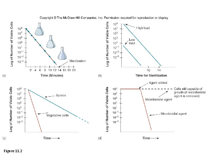 Microbiology A Systems Approach 3 rd ed Chapter