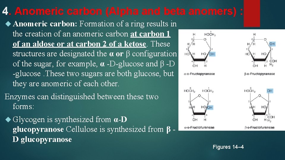 Carbohydrates BIOMEDICAL IMPORTANCE Carbohydrates are the most abundant