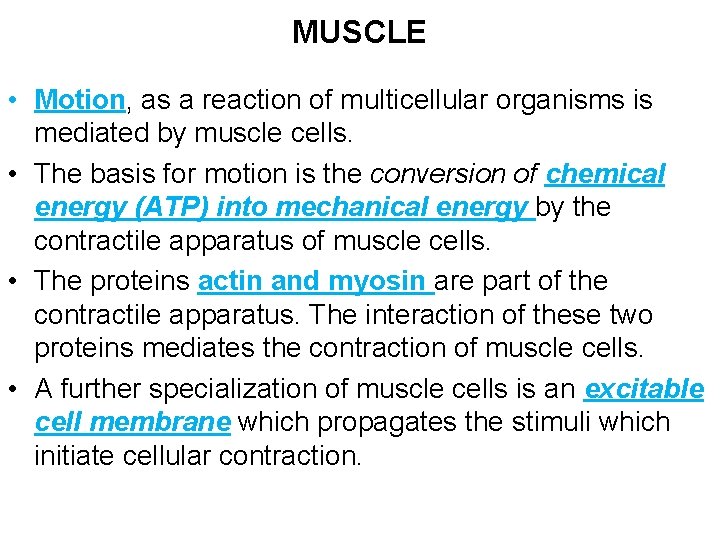 MUSCLE Motion as a reaction of multicellular organisms