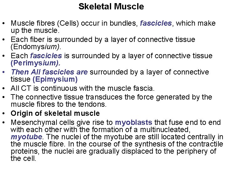 MUSCLE Motion as a reaction of multicellular organisms