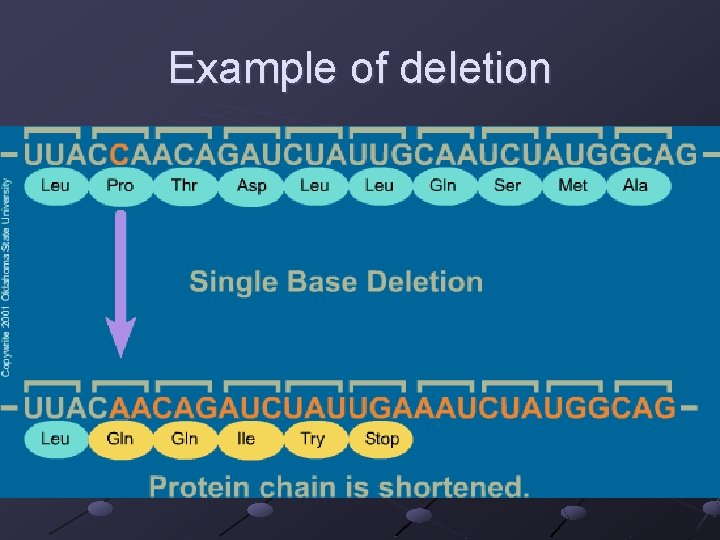 Gene Linkage Mutation Chapter 12 4 Mutations What