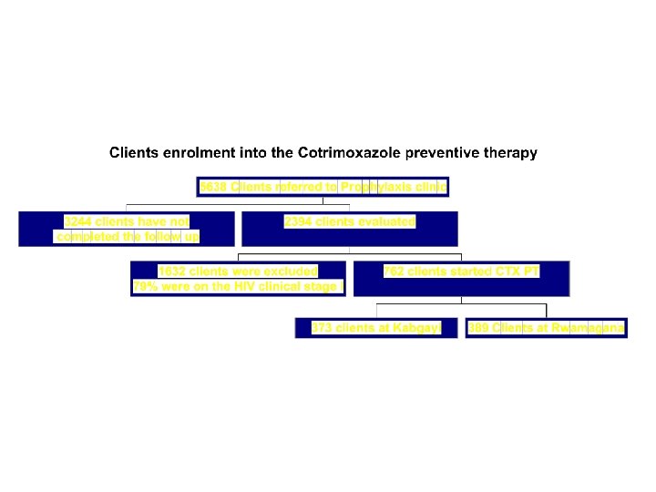 Pilot initiative to integrate the prevention of Tuberculosis