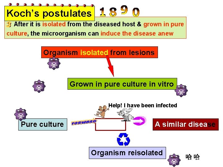 Understand 1 Virulence factor of bacteria 2 Koch
