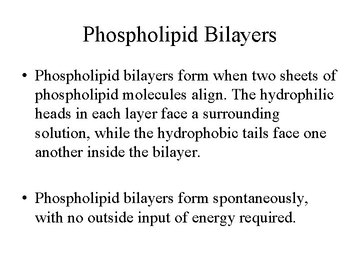 The Structure of the Cell Membrane The Structure