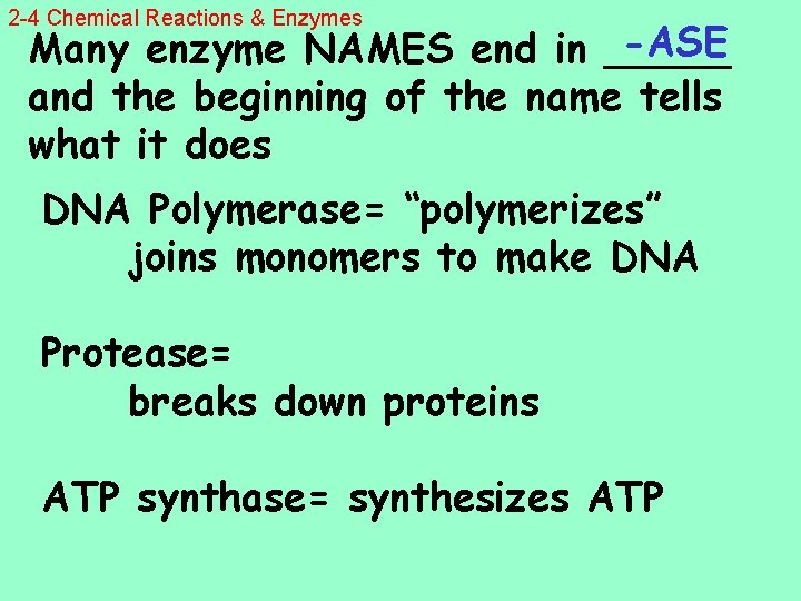 2 4 Chemical Reactions Enzymes The Chemistry of