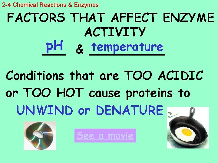 2 4 Chemical Reactions Enzymes The Chemistry of