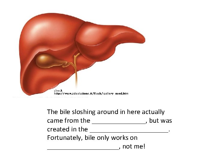BSCS Digestive System Assignment Starter for the ComicStrip