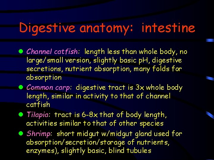Digestion and Nutrient Metabolism Digestion l Digestion the