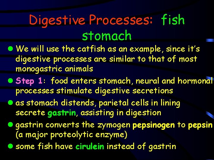Digestion and Nutrient Metabolism Digestion l Digestion the