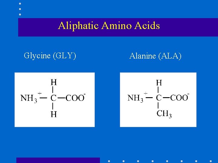 PROTEINS Definition Protein from the Greek proteois meaning