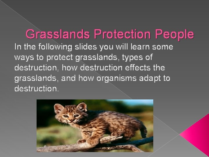 Grasslands Protection People In the following slides you