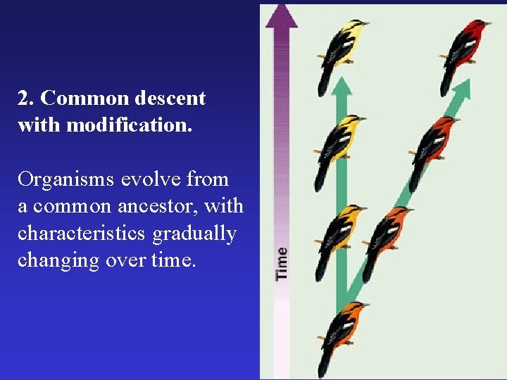 Evolution Nothing in biology makes sense except in
