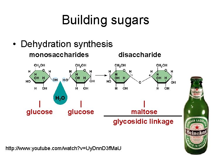 Carbohydrates CH 2 OH H HO O H