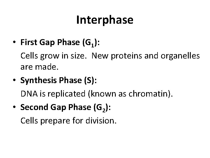 The Cell Theory Cell Cycle Mitosis The Cell