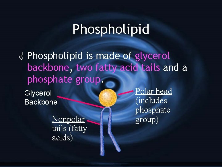 The Plasma Membrane and Cell Transport Biology Sections