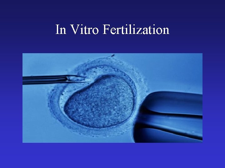Biotechnology Dolly and surrogate Mom Embryonic stem cells